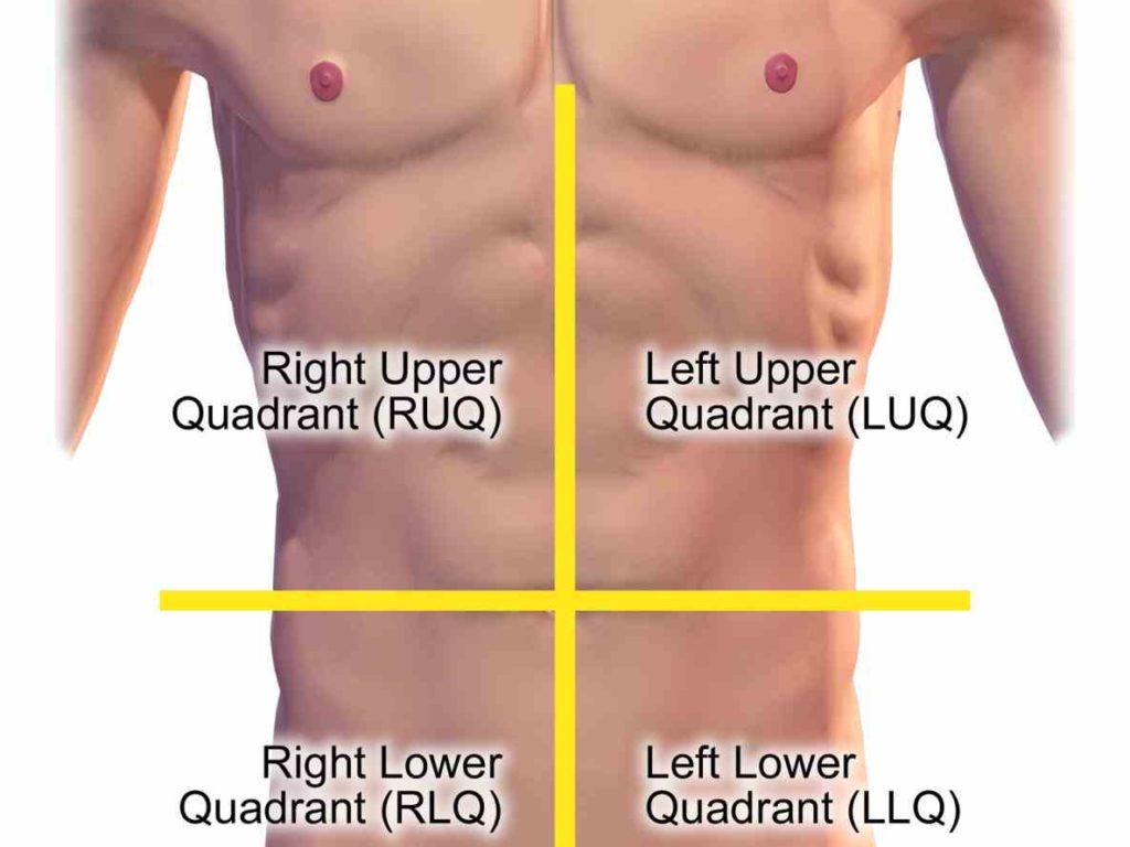 Mar Names Of Abdominal Regions Human Abdomen Quadrants Four Picture Is Broadly Classified Into 