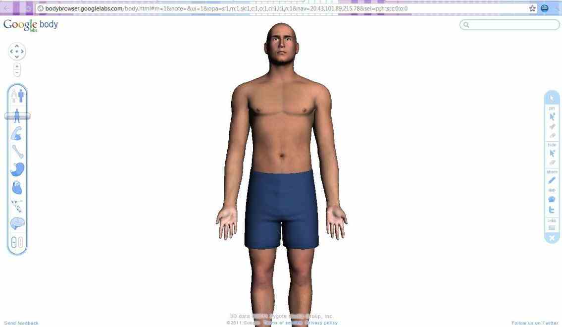 External Body Parts Of Woman Any External Parts Of The Human Body External Body Parts Of Woman Any External Parts Of The Human Body
